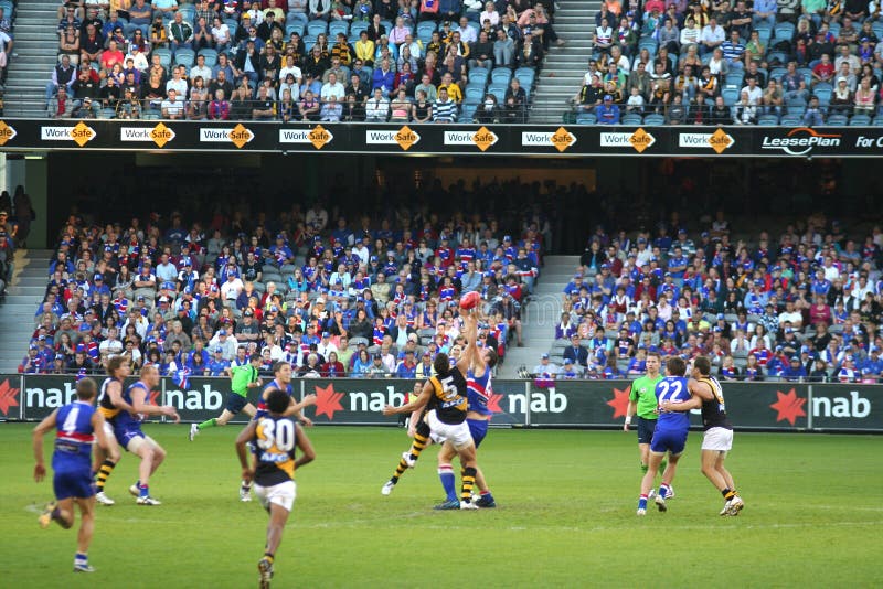 Afl football editorial stock photo. Image of audiance - 5184158