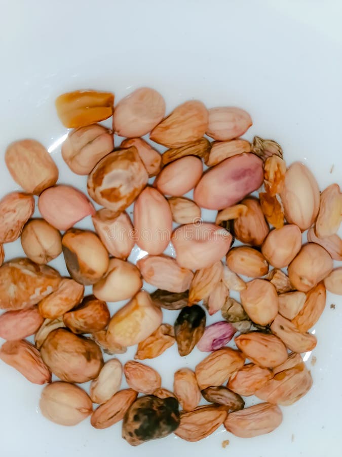 Aflatoxins Poisoning by Fungi in Groundnut Stock Photo - Image of ...