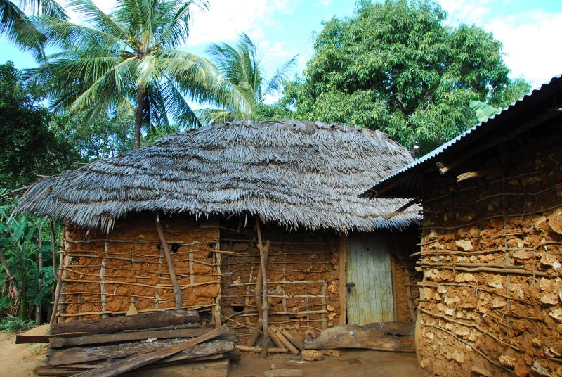 Straw Hut near the ocean stock photo. Image of plants - 2224744