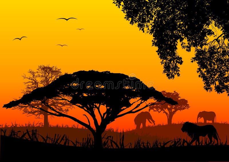 Africa landscape stock illustration. Illustration of africa - 6091617
