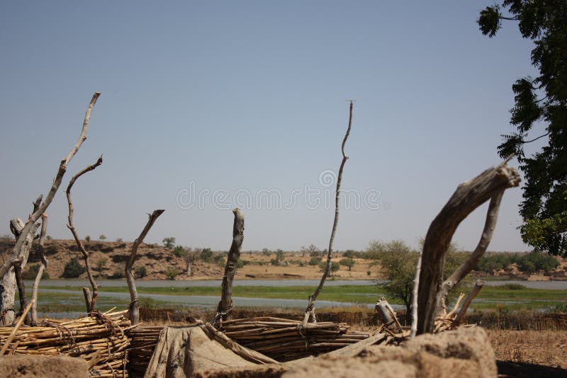 212 Niger Trees Stock Photos - Free & Royalty-Free Stock Photos from ...