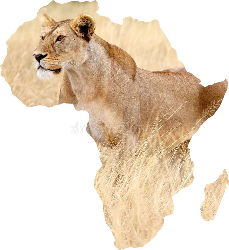 Lions In Africa Map