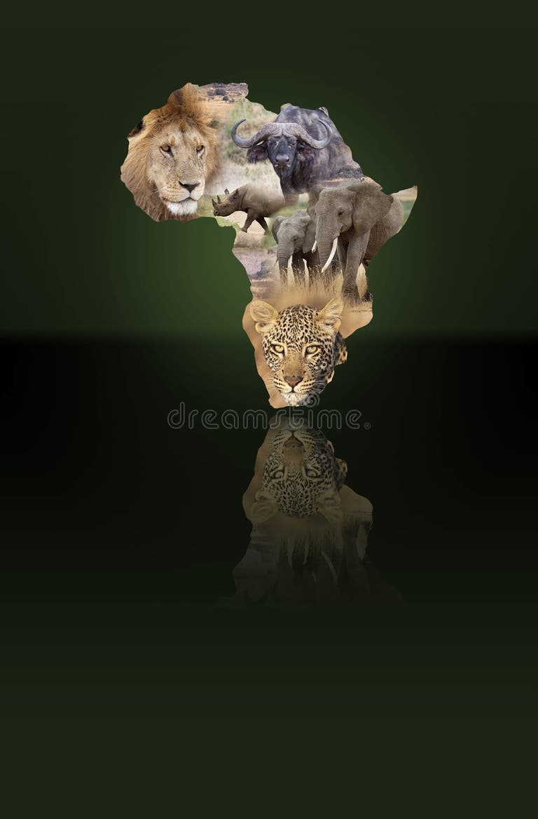 Africa Big Five Map Stock Illustrations – 95 Africa Big Five Map Stock ...