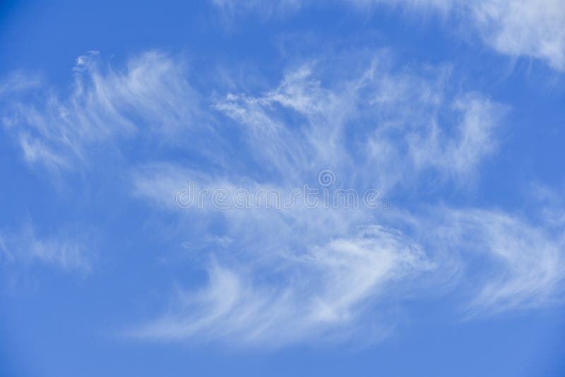 Africa blue sky over Kenya stock photo. Image of wildlife - 212689886