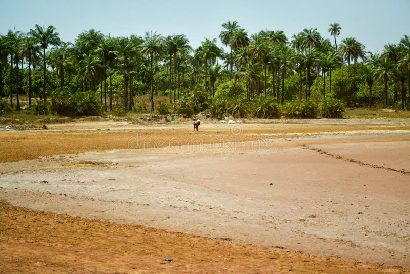 Africa Salt Harvest after Water Runoff 库存照片 - 图片 包括有 假期, 浪潮: 165857690