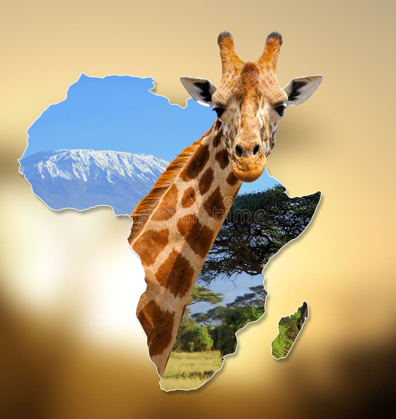 568 Mountain Africa Map Stock Photos - Free & Royalty-Free Stock Photos ...