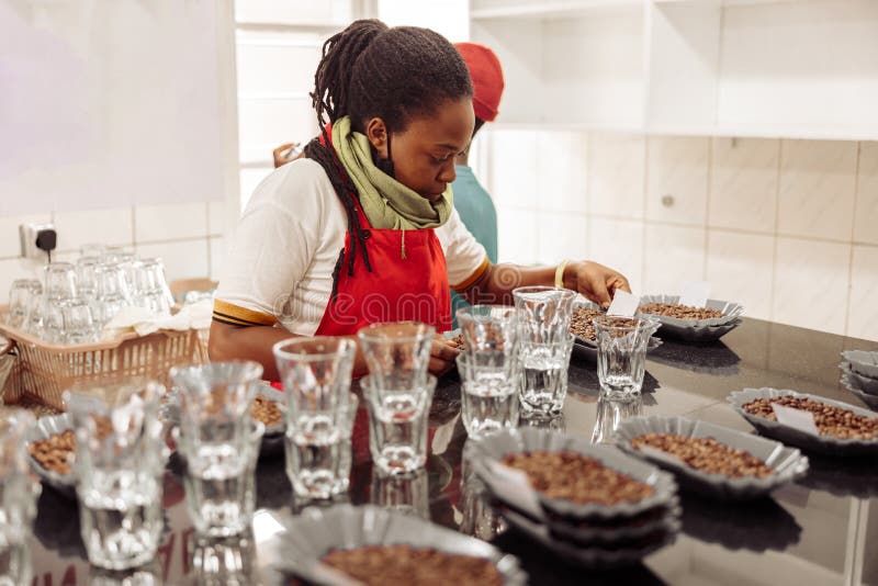 African American Lady Placing Notes on Plates with Coffee for Tasting ...