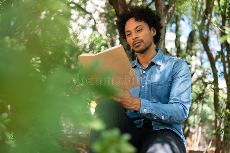 African American Man Reading Book Stock Photo - Image of green, person ...