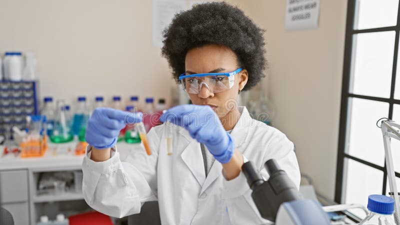 African American Woman Scientist Analyzing Samples in Laboratory Stock ...