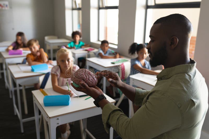 African American Young Male Teacher Explaining Brain Model To ...