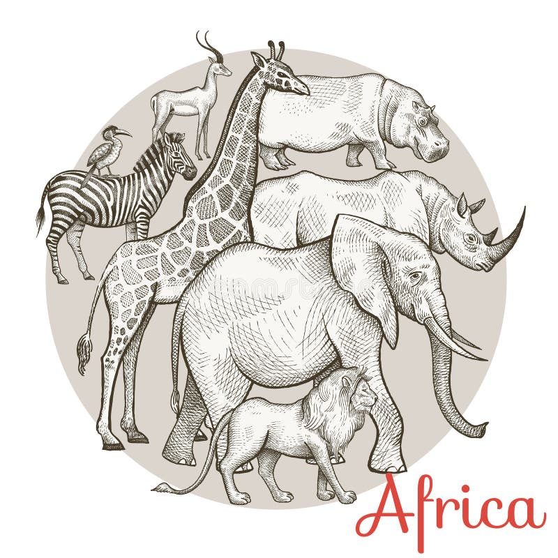 African Drawings Of Animals