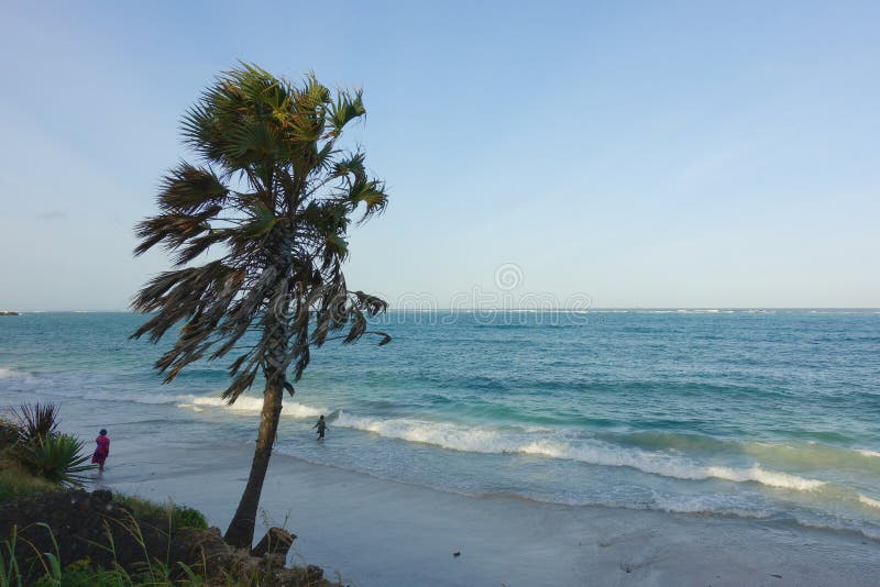 African Beaches stock image. Image of relaxed, detail - 74898191