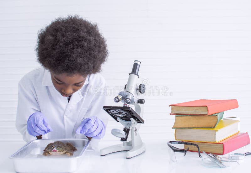 African Black Boy Studying Science in Classroom at School Stock Image ...