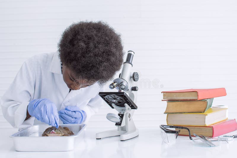 African Black Boy Studying Science in Classroom at School Stock Image ...