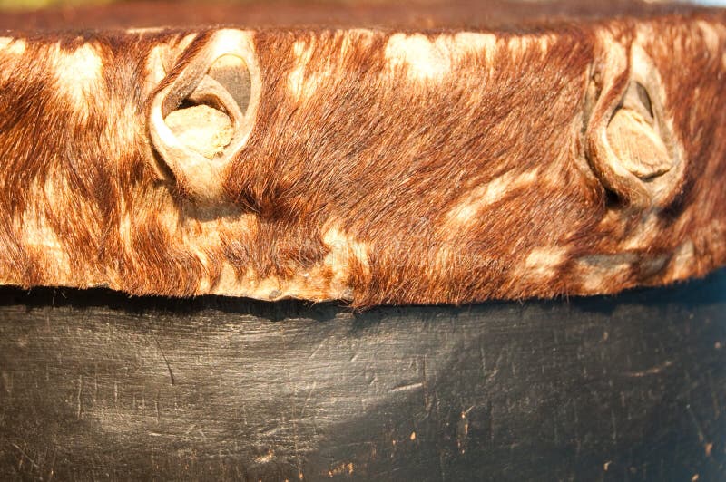 African bongo texture stock photo. Image of bongo, drum - 10584470