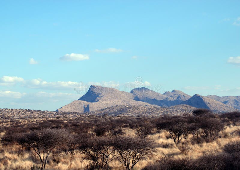 African Bush stock photo. Image of african, africa, grass - 63752228