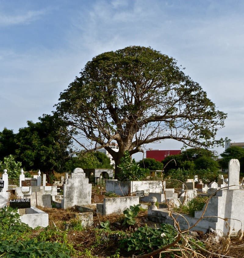 African Cemetary with Big Tree Editorial Image - Image of tree, yard ...