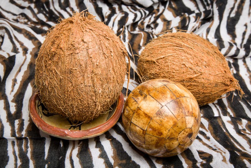 African coconut stock photo. Image of object, healthy - 49377820