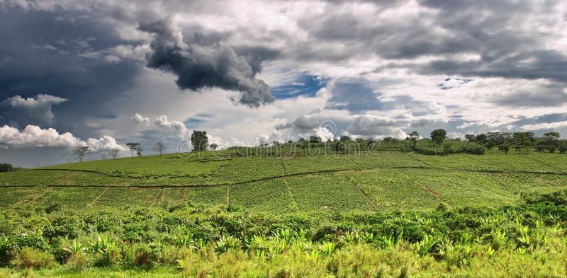African landscape stock photo. Image of landscape, sipi - 18699958