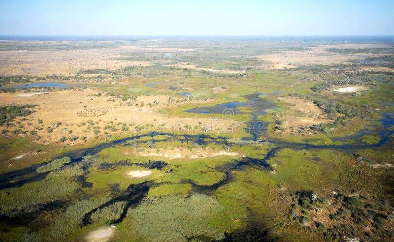 The african Delta 2 stock photo. Image of brown, african - 7244618