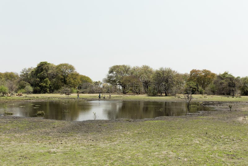 Okavango Delta or Okavango Grassland is One of the Seven Natural ...
