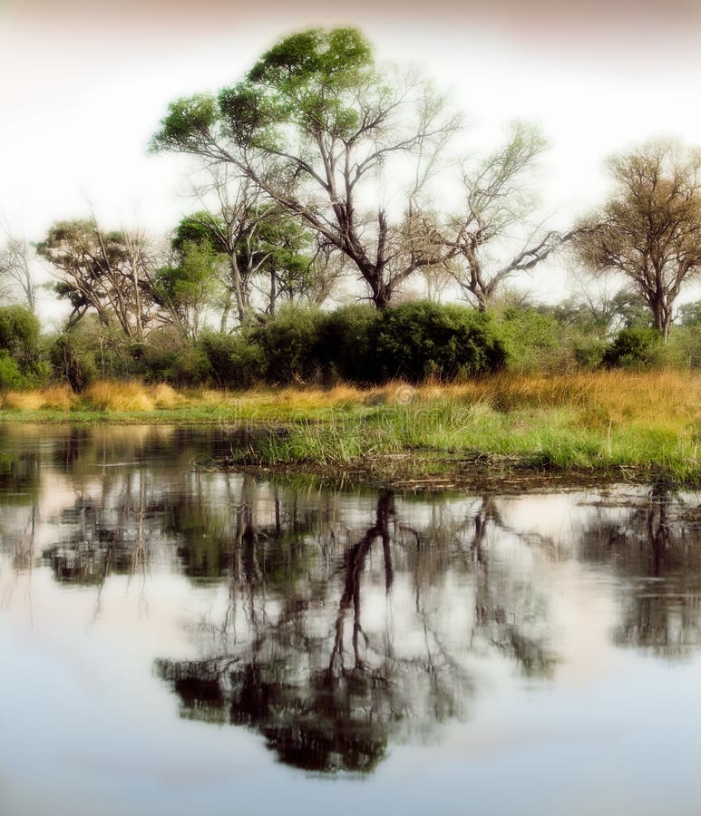 African Delta Water Reflection Stock Photo - Image of natural ...