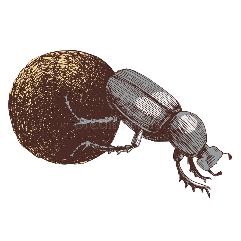 Animal Dung Sketch Stock Illustrations – 96 Animal Dung Sketch Stock ...