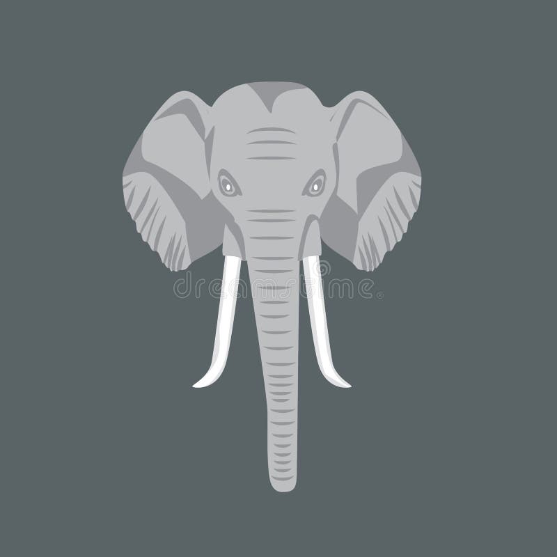 Elephant Front View Drawing