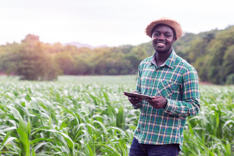 African Farmer Stand in the Green Farm with Holding Tablet Stock Image ...