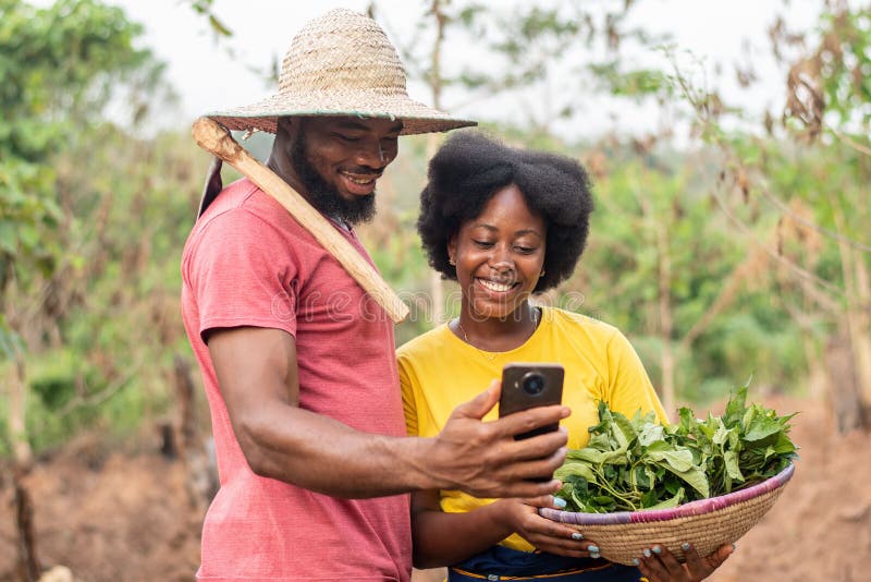 Farmers Checking a Phone Together Stock Photo - Image of people ...