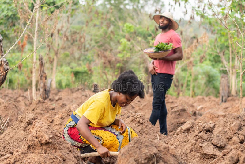 1,768 Farmers African Farm Stock Photos - Free & Royalty-Free Stock ...