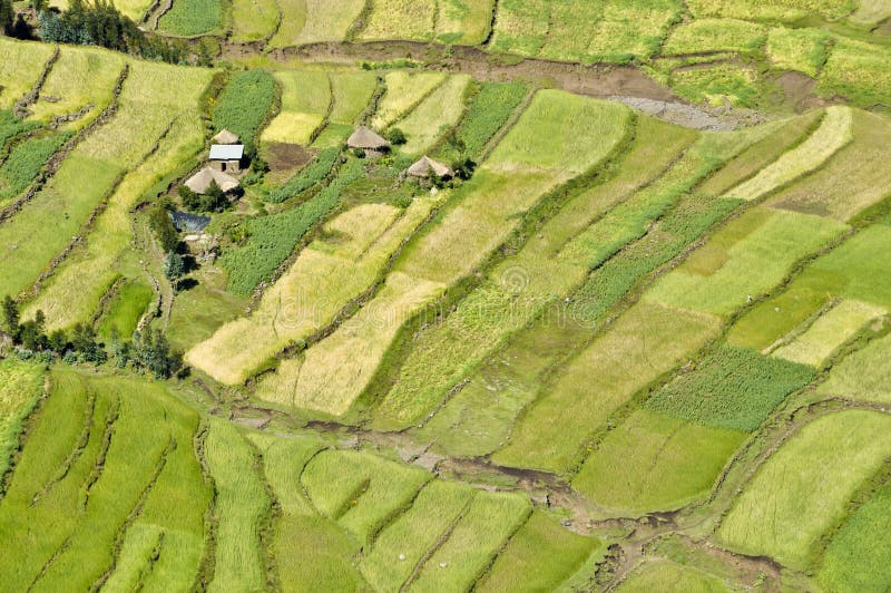 AFRICA COMOROS ANJOUAN editorial photo. Image of ozean - 45878771