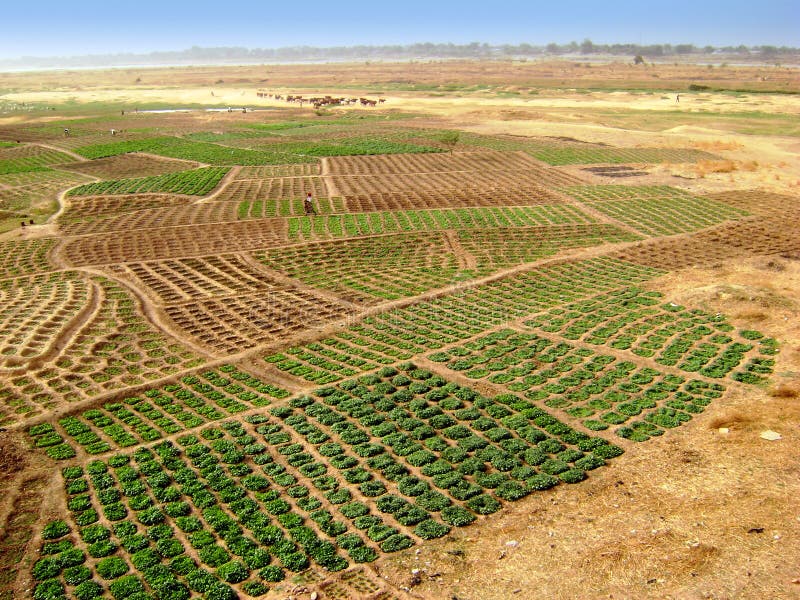 Ghana Fields - African Rural Landscape Stock Image - Image of line ...