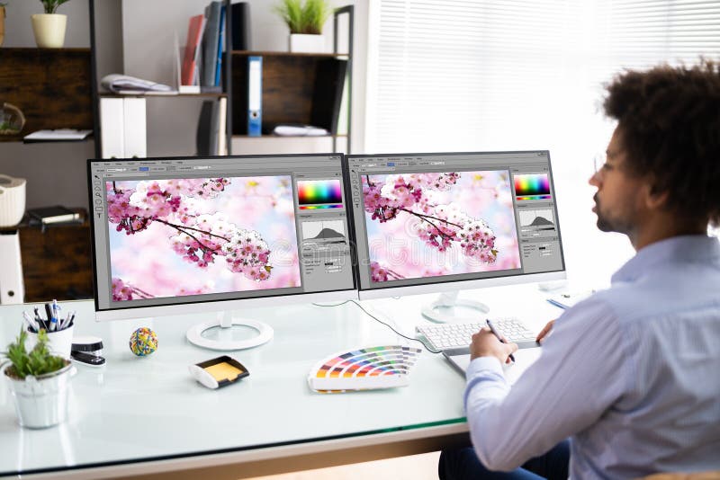 African Graphic Web Designer Stock Image - Image of file, edits: 239387219