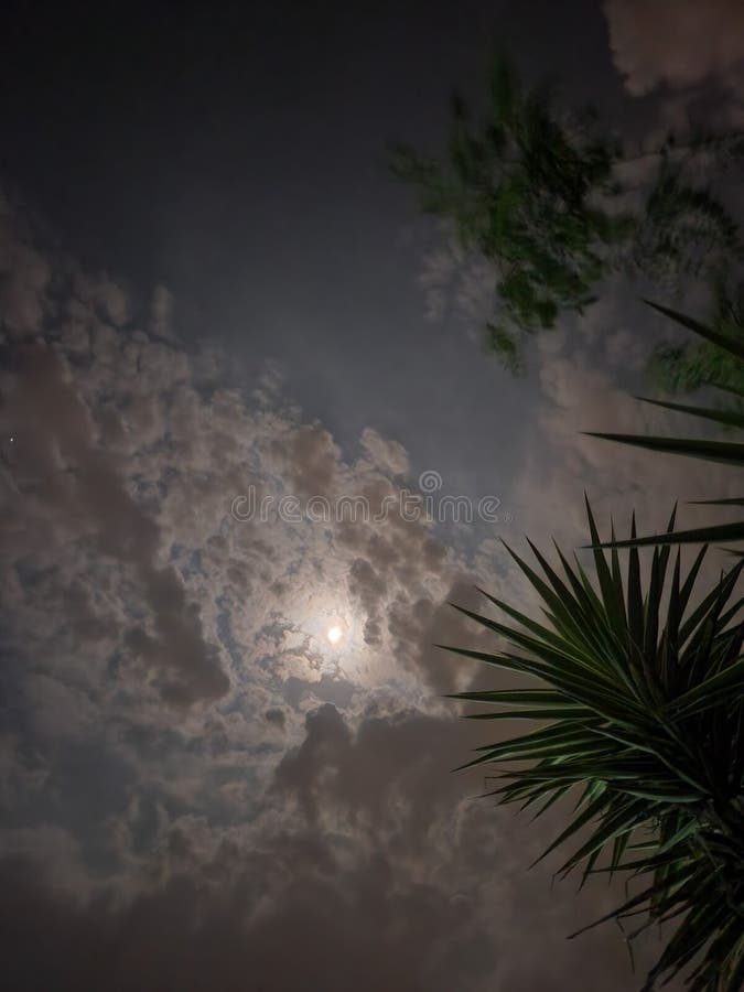 African Grey Cloudy Moon stock image. Image of grey - 271430139