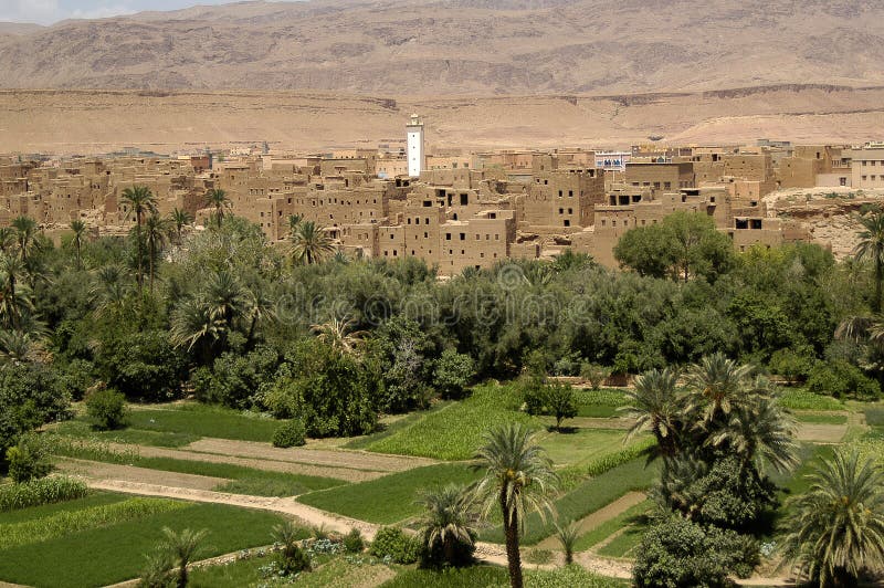 African land building stock image. Image of plant, oasis - 111510351