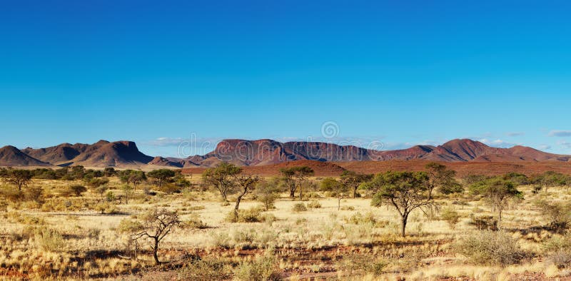African landscape stock photo. Image of blue, safari, heat - 2770286
