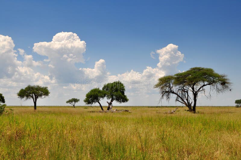 African landscape stock image. Image of landscape, africa - 31226391