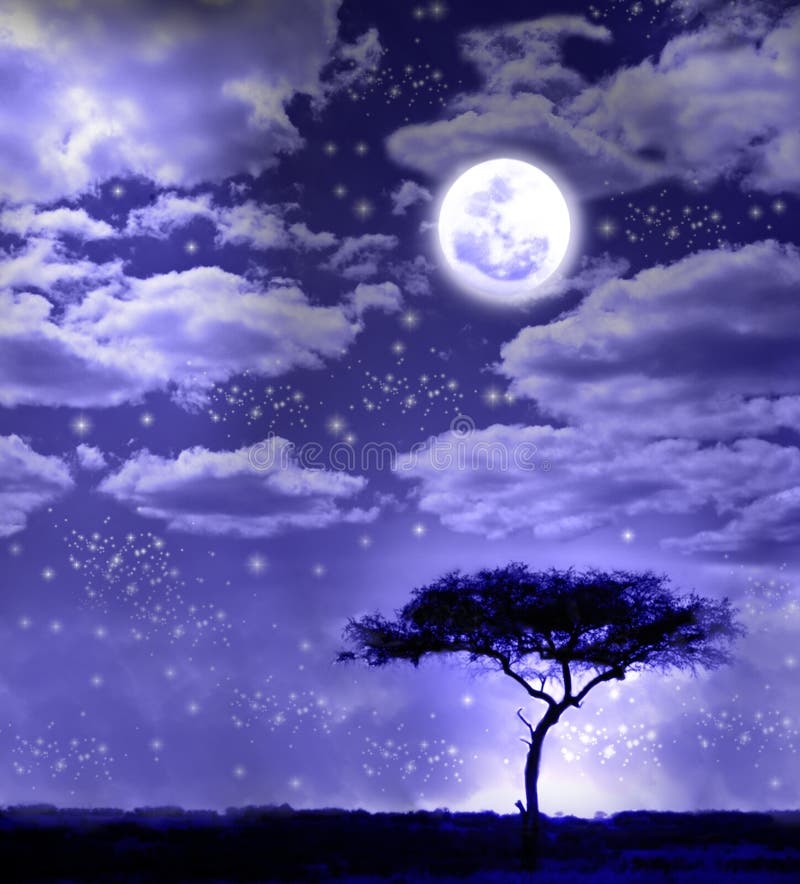 Moonlight Stars Wallpaper Nailing The Shot: Moon And Milky Way Stars