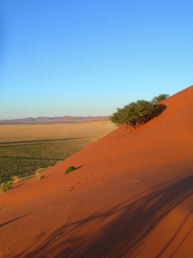 African Landscape with Sand Dunes, Namibia Stock Image - Image of bare ...