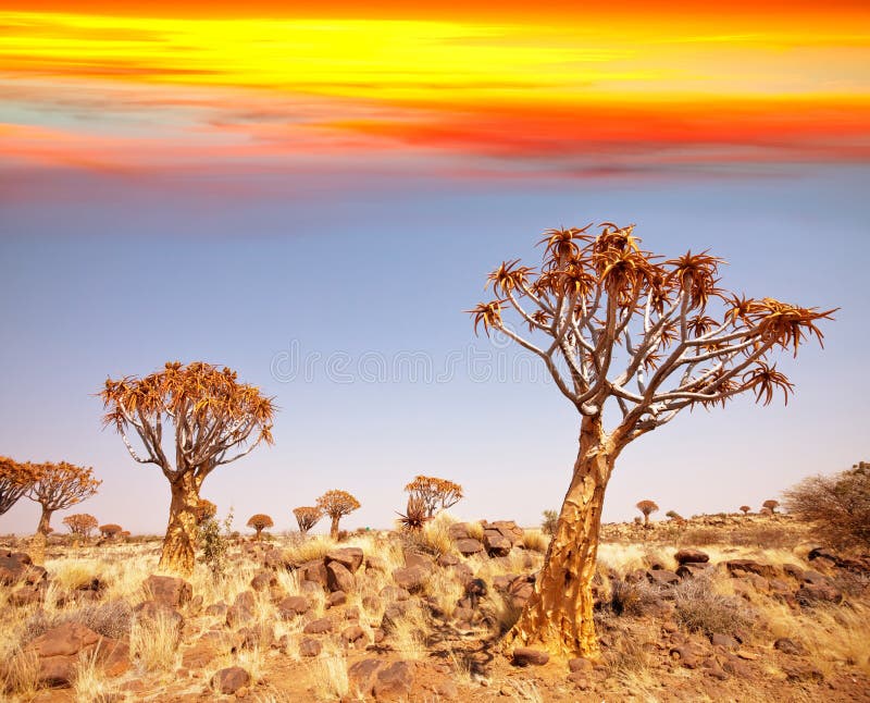 African landscapes stock image. Image of nature, sunset - 54154733