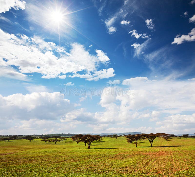 African landscapes stock photo. Image of landscape, africa - 54154788