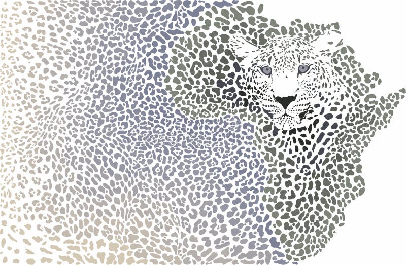 African Leopard - Background Of The Continent Map Stock Vector ...