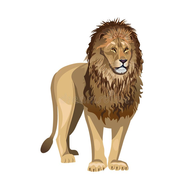 Standing Proud Lion Stock Illustrations – 207 Standing Proud Lion Stock ...