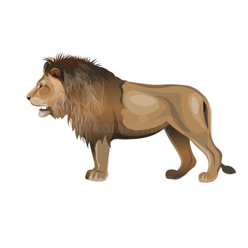 Proud Lion Profile Stock Illustrations – 174 Proud Lion Profile Stock ...