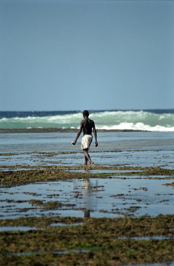 African Man on the Beach, Tofo Beach, Mozambique Editorial Photo ...