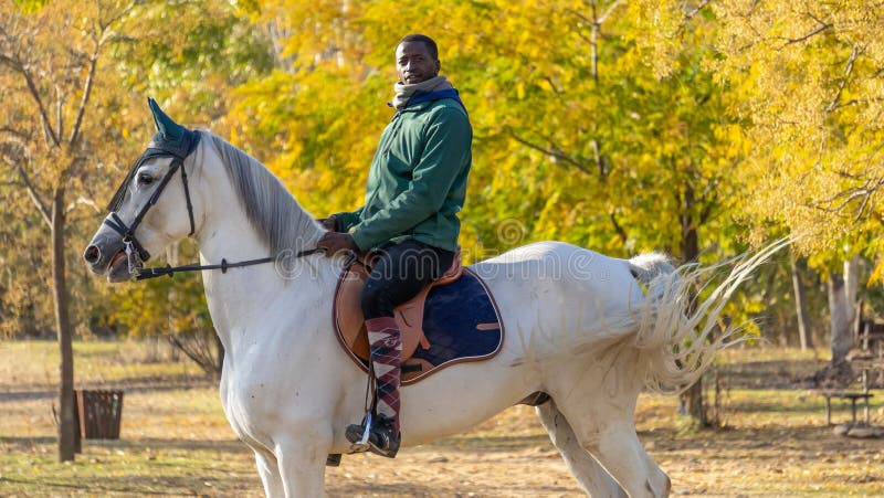 African Man Riding a White Horse Stock Image - Image of purebred, white ...