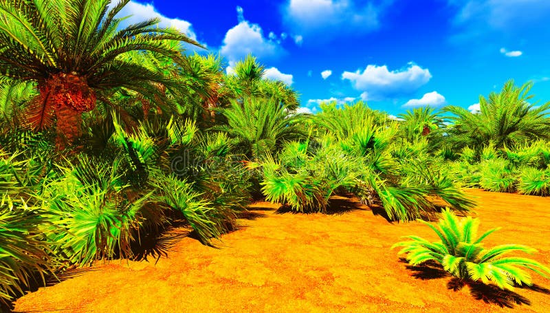 African oasis stock image. Image of holiday, natural - 56649003