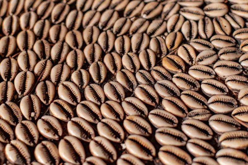 African ocean shells stock image. Image of cowrie, ethnic - 185024573