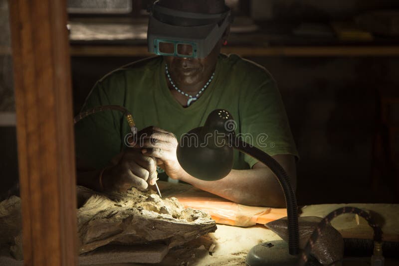 2,647 Paleontologist Stock Photos - Free & Royalty-Free Stock Photos ...